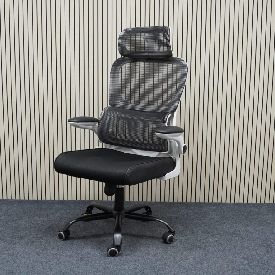 Ergonomic Chair-Flex Pro: Amazing Comfort + 5 Base.