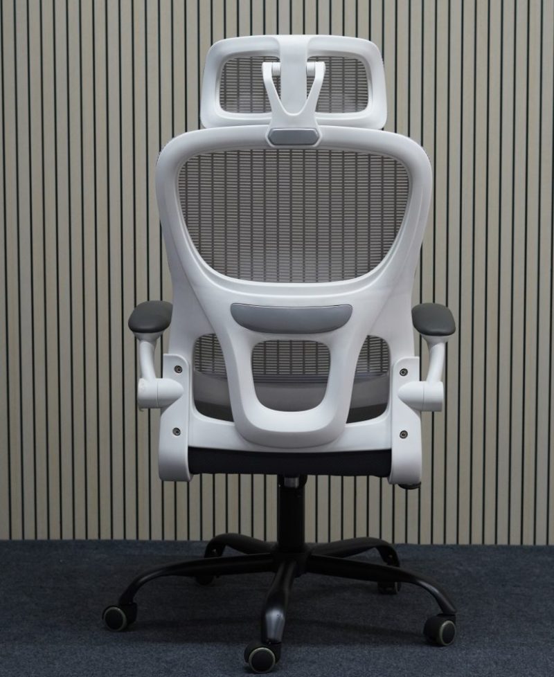 Ergonomic Chair-Flex Pro: Amazing Comfort + 5 Base.